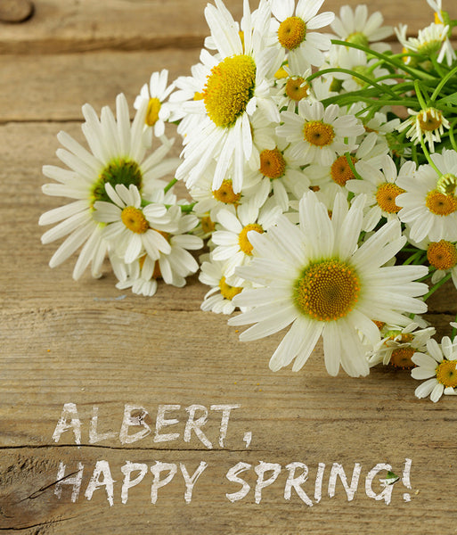 Spring Daisies / 100727 – XMPie MARKETPLACE